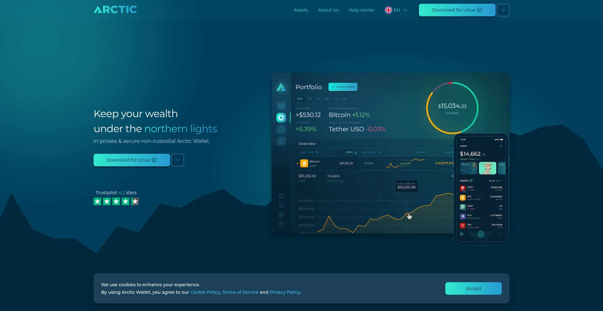 Arcticwallet.io Avis | Rapport d'analyse