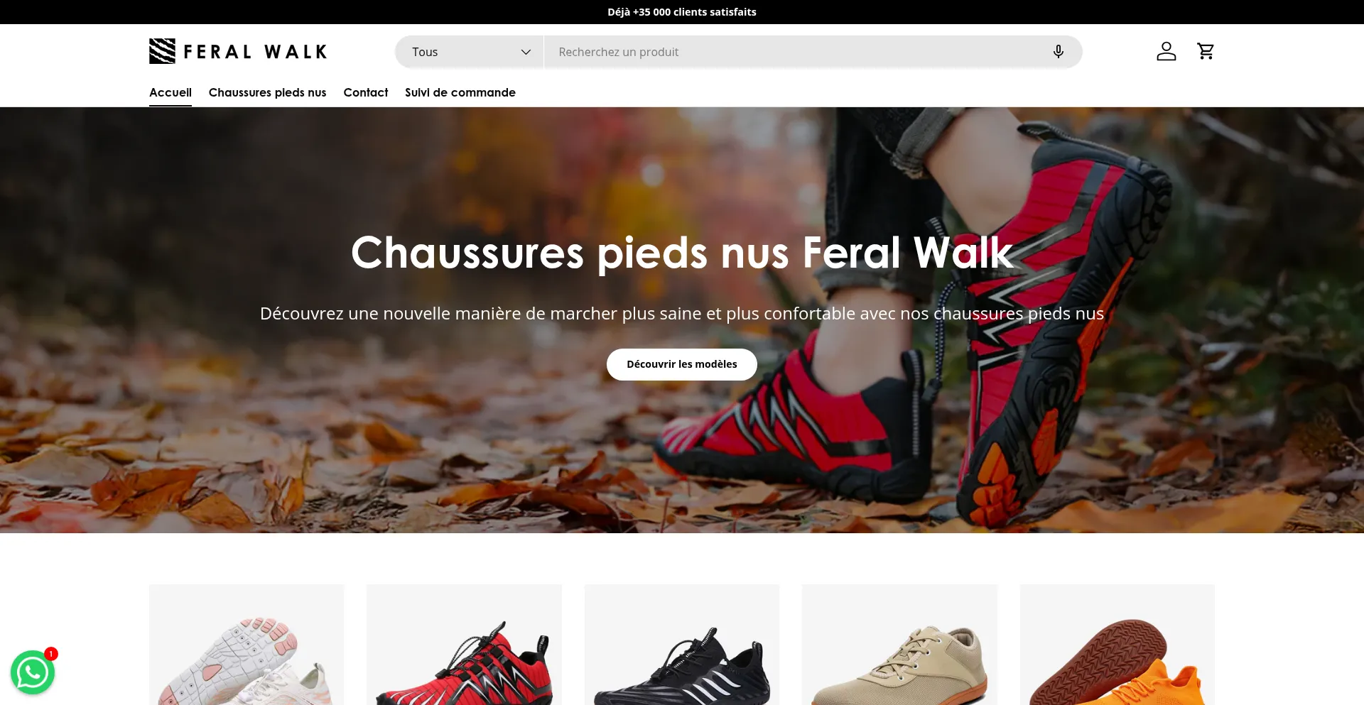 Article.feralwalk.com : analyse Domaine récent (Confiance 27/100)
