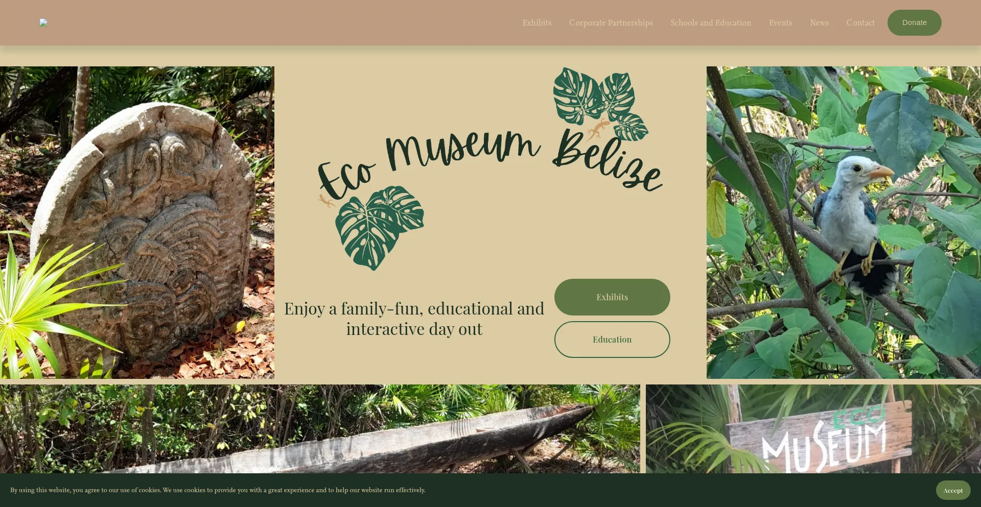 Ecomuseumbelize.org Avis – Ce Site est-il Sûr et Fiable