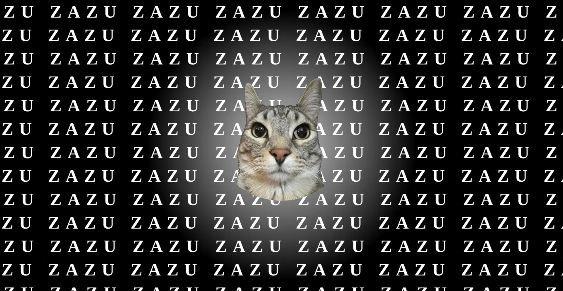 Zazu.cat Avis – Ce Site est-il Sûr et Fiable